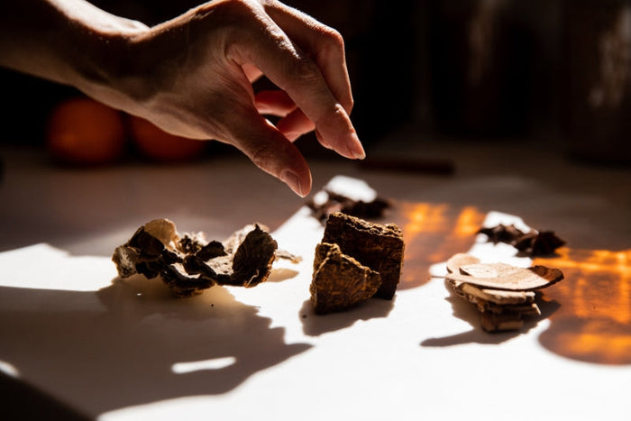 What are Adaptogenic Mushrooms and How Do They Benefit You?