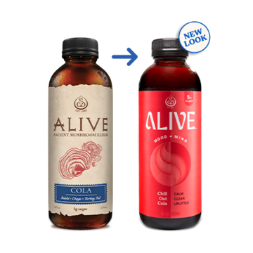 ALIVE Ancient Mushroom Elixir | Adaptogenic Teas | GT's Living Foods