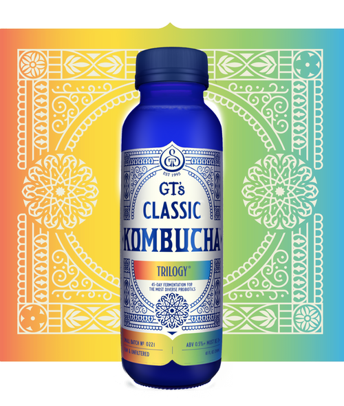 CLASSIC Raw Kombucha | GT's Living Foods
