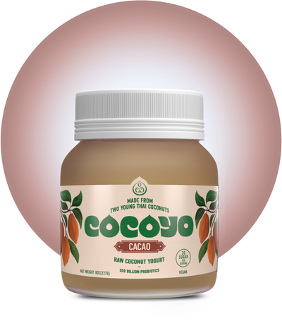 Coconut Yogurt | CocoYo | GT's Living Foods