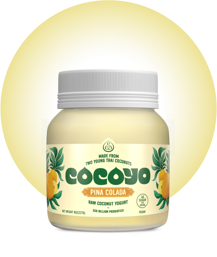Coconut Yogurt | CocoYo | GT's Living Foods