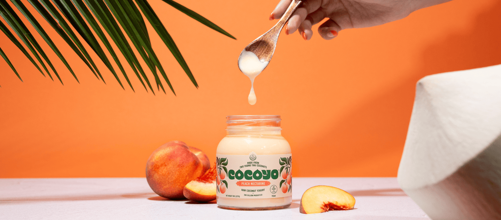 Coconut Yogurt | CocoYo | GT's Living Foods