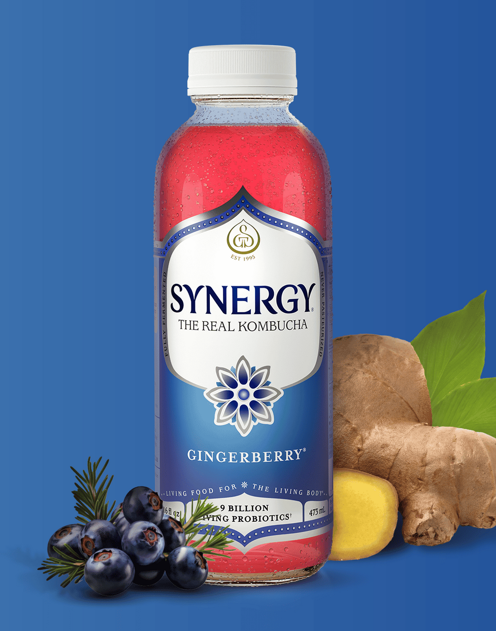 Gingerberry