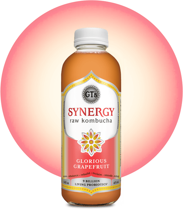 SYNERGY Raw Kombucha | GT's Living Foods
