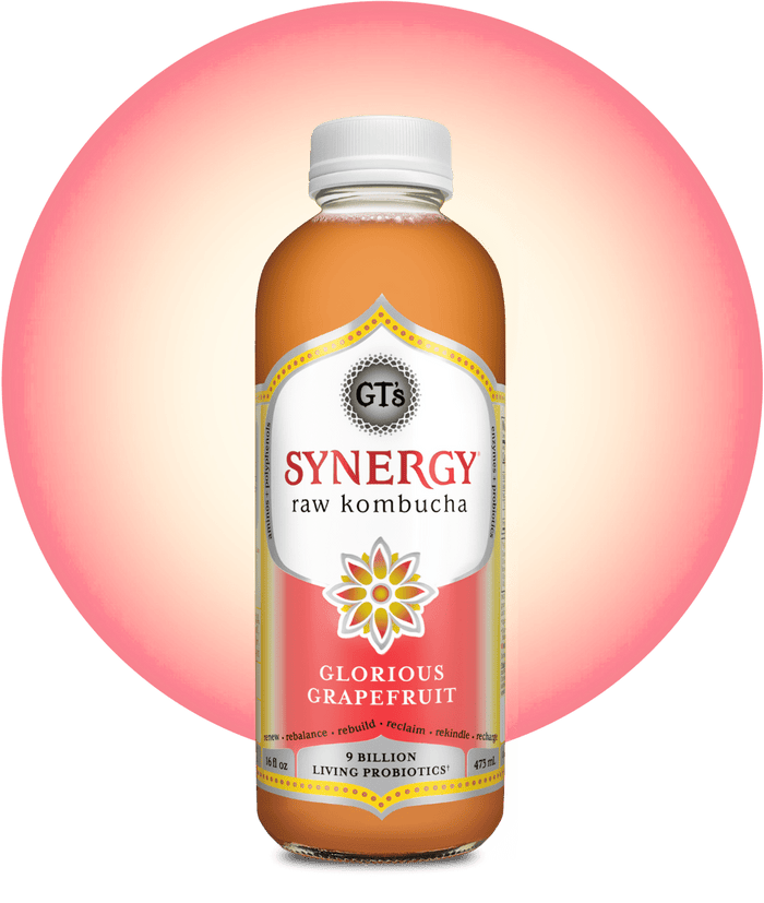 SYNERGY Raw Kombucha | GT's Living Foods