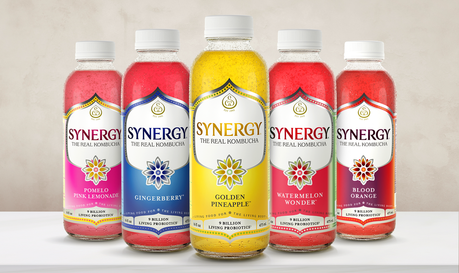 Kombucha, Kefir, Coconut Yogurt, Adaptogenic Tea