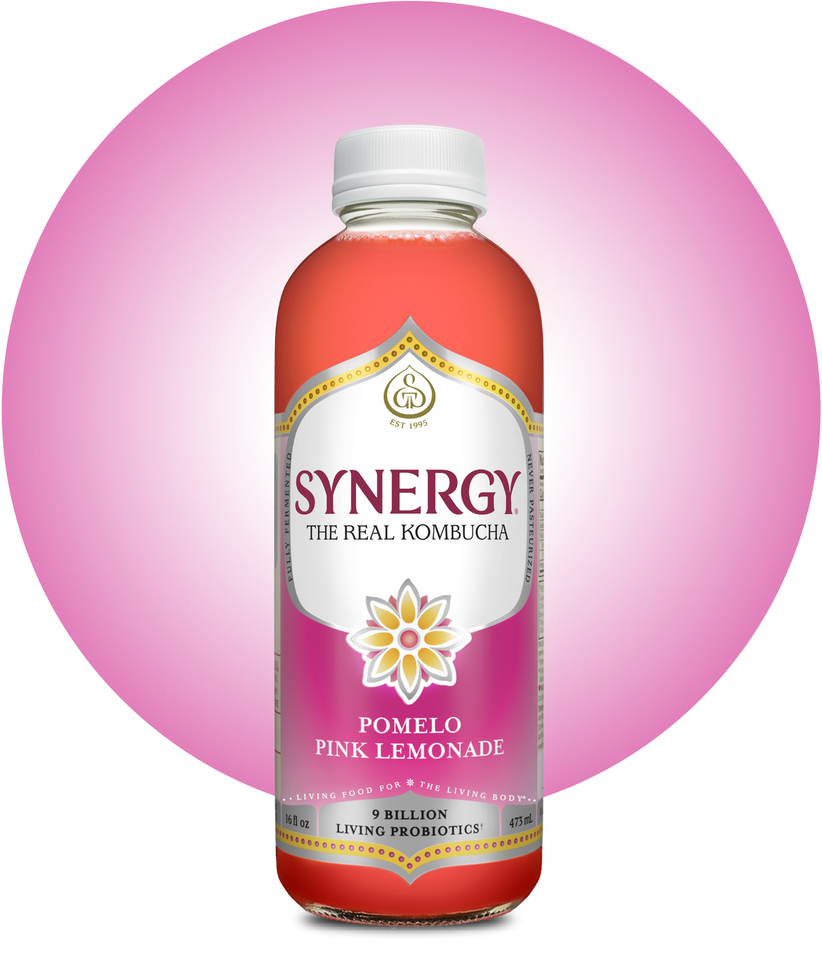 SYNERGY Raw Kombucha | GT's Living Foods