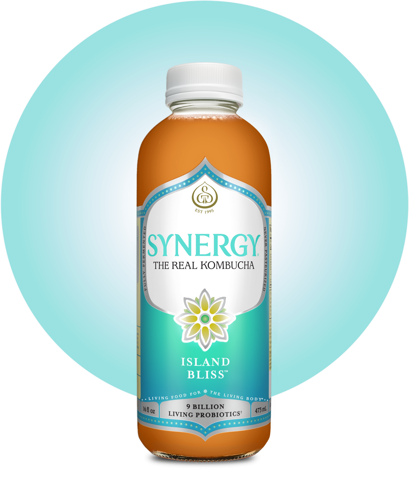SYNERGY Raw Kombucha | GT's Living Foods