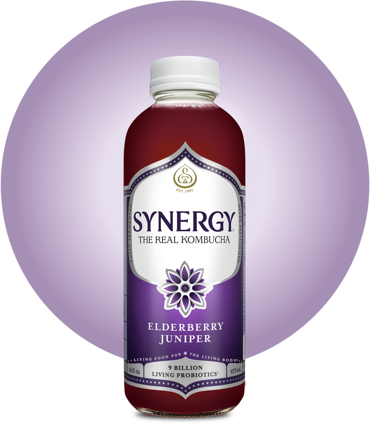 SYNERGY Raw Kombucha | GT's Living Foods