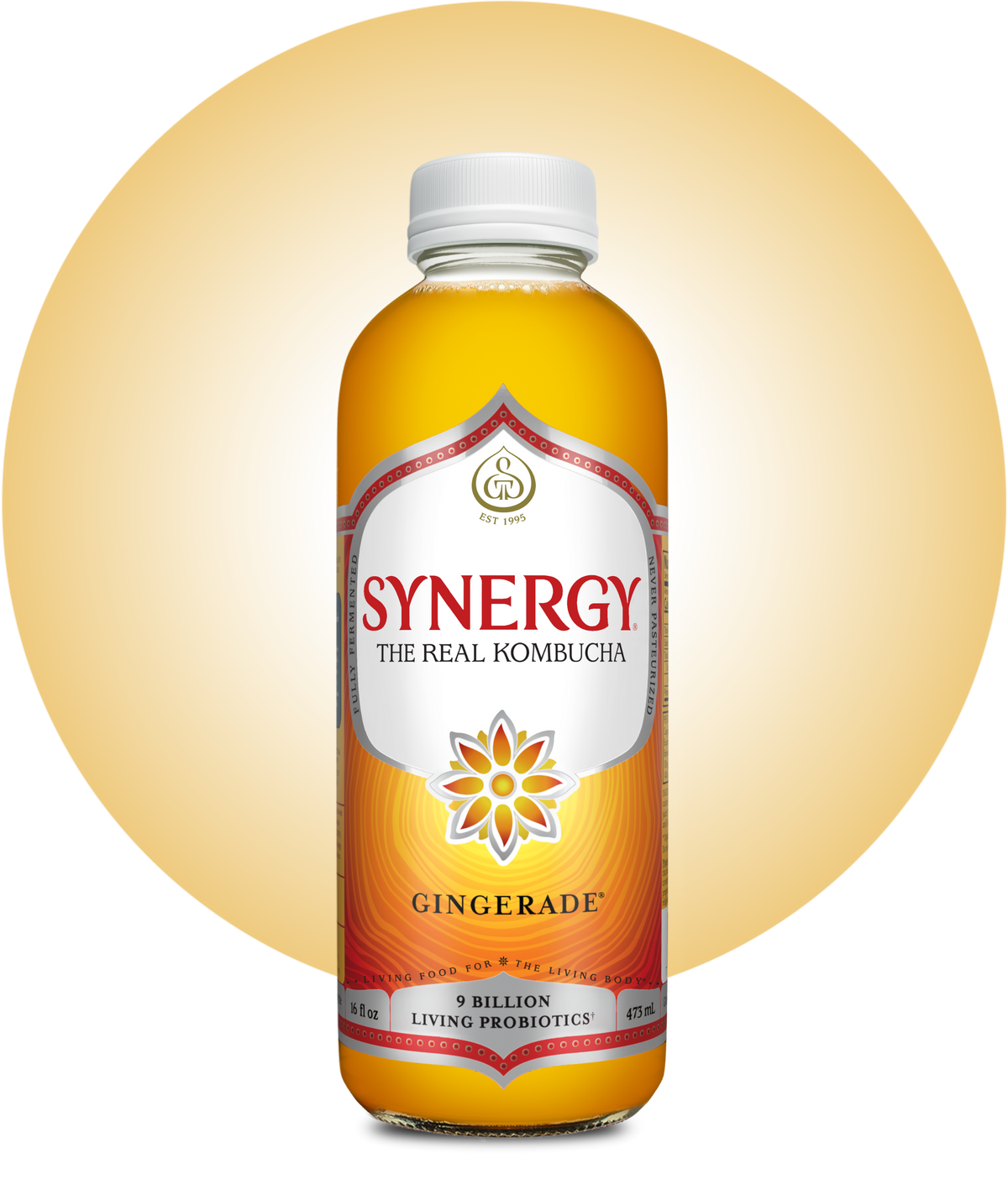 SYNERGY Raw Kombucha | GT's Living Foods