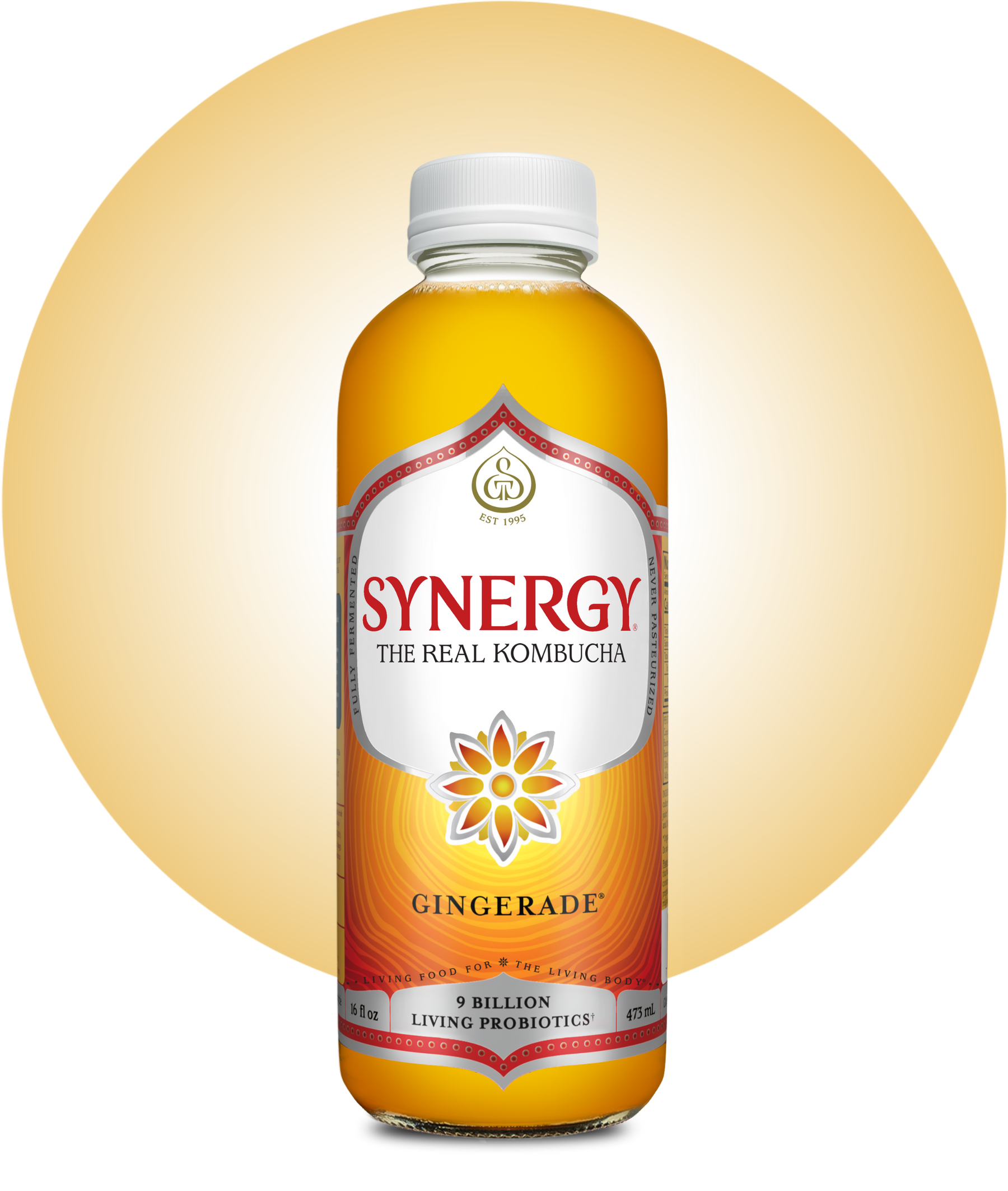 SYNERGY Raw Kombucha | GT's Living Foods