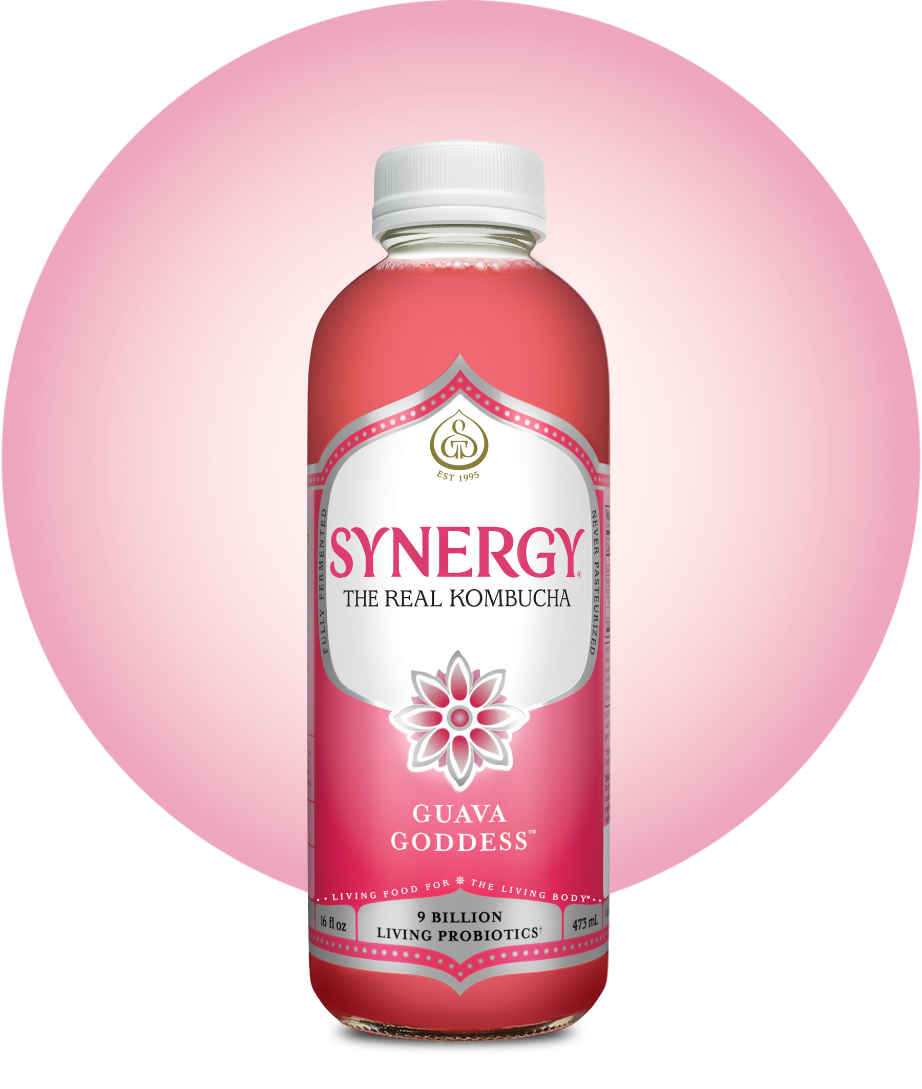 SYNERGY Raw Kombucha | GT's Living Foods