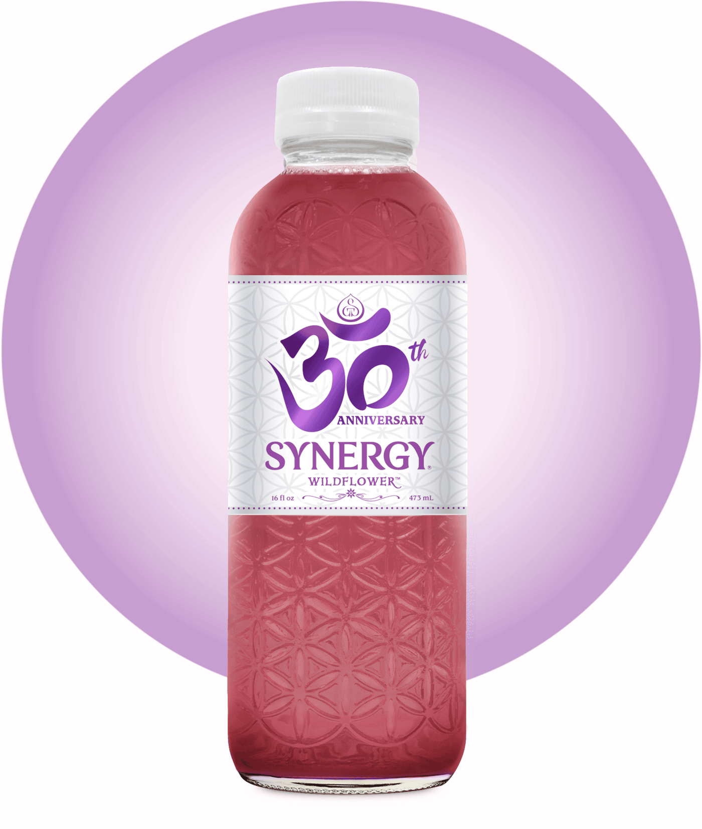 SYNERGY Raw Kombucha | GT's Living Foods