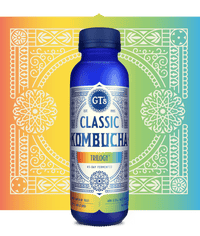 CLASSIC Raw Kombucha | GT's Living Foods