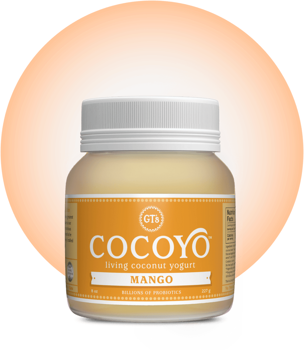 Coconut Yogurt | CocoYo | GT's Living Foods
