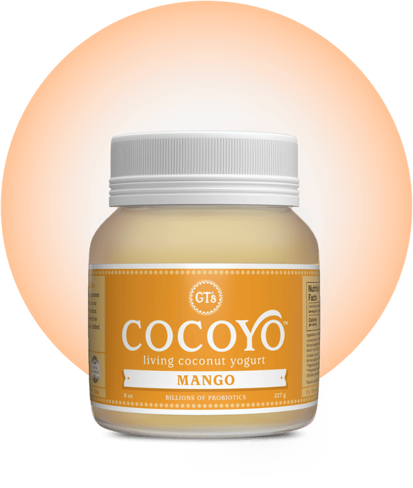 Coconut Yogurt | CocoYo | GT's Living Foods
