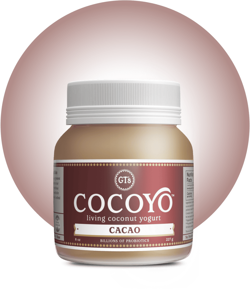 Coconut Yogurt | CocoYo | GT's Living Foods