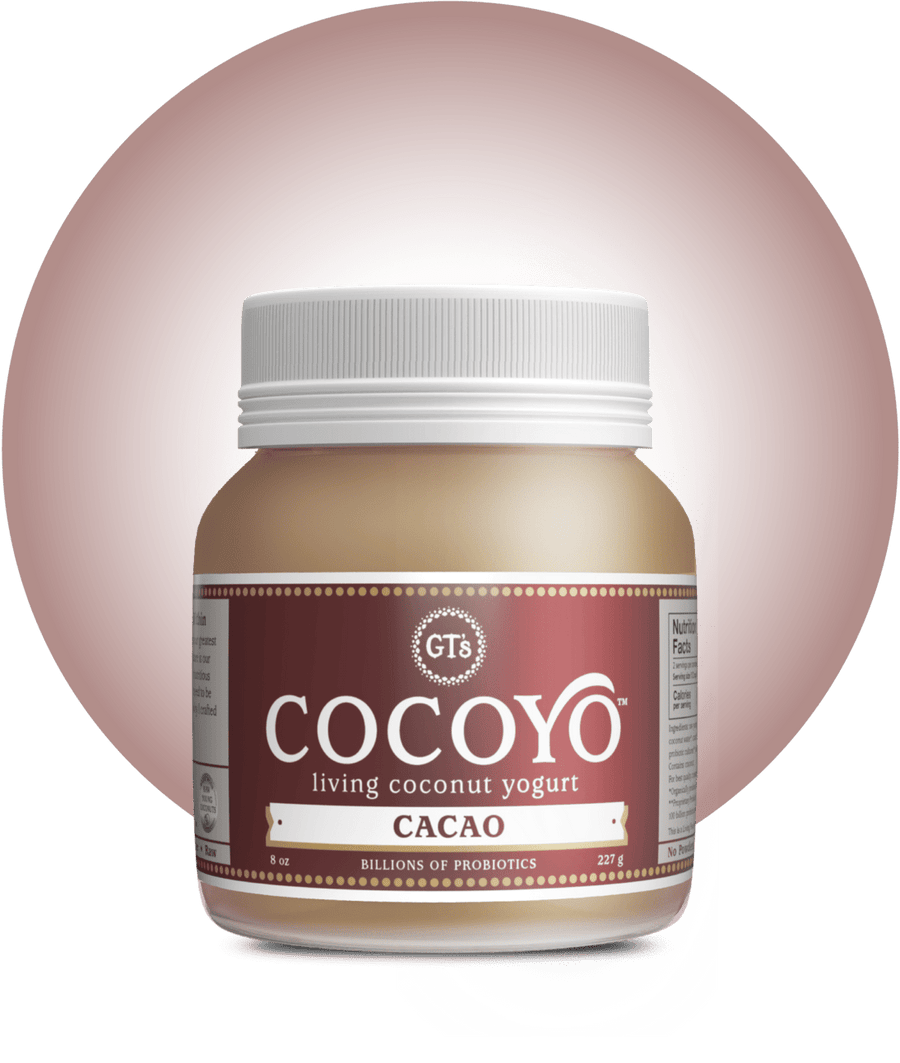 Coconut Yogurt | CocoYo | GT's Living Foods