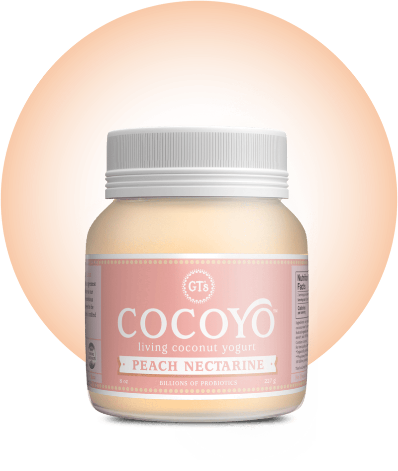 Coconut Yogurt | CocoYo | GT's Living Foods
