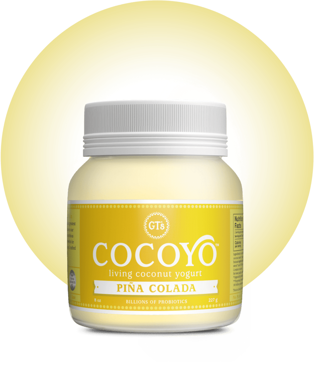 Coconut Yogurt | CocoYo | GT's Living Foods