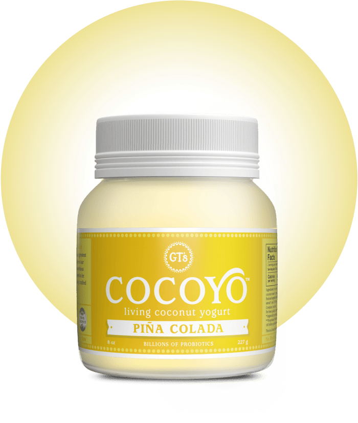 Coconut Yogurt | CocoYo | GT's Living Foods