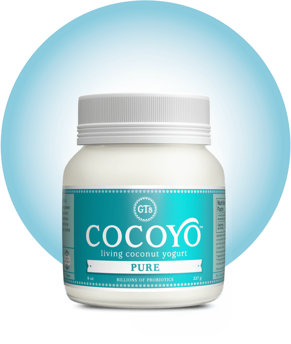 Coconut Yogurt | CocoYo | GT's Living Foods
