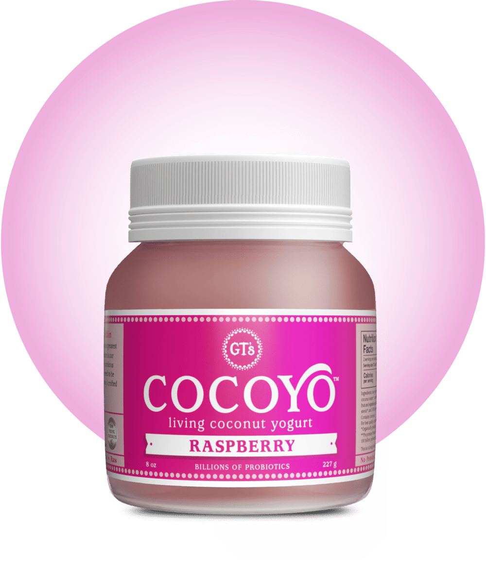 Coconut Yogurt | CocoYo | GT's Living Foods