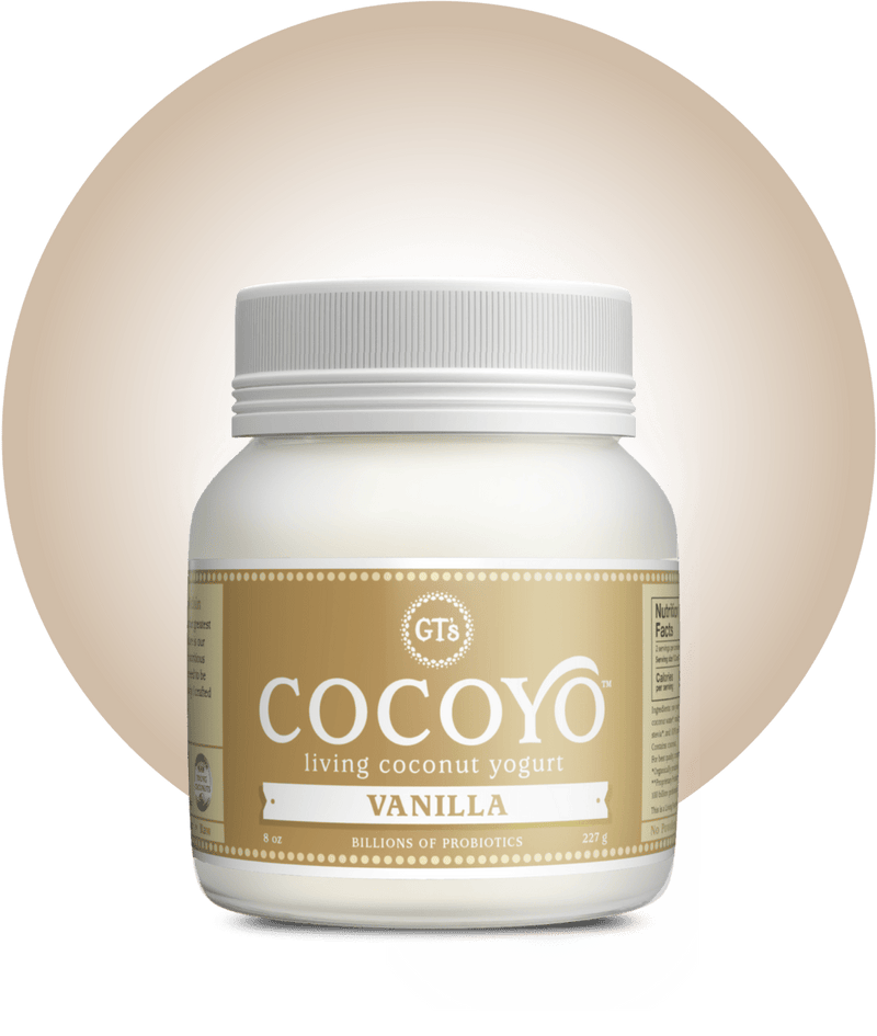 Coconut Yogurt | CocoYo | GT's Living Foods