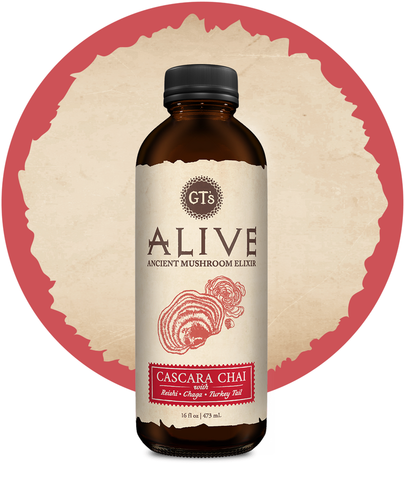 ALIVE Ancient Mushroom Elixir | Adaptogenic Teas | GT's Living Foods