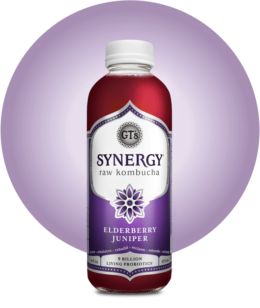 SYNERGY Raw Kombucha | GT's Living Foods