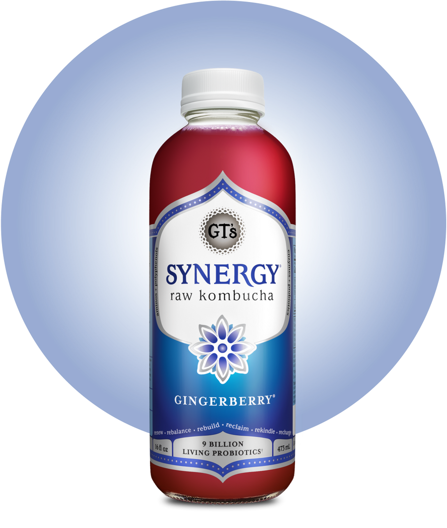 SYNERGY Raw Kombucha | GT's Living Foods