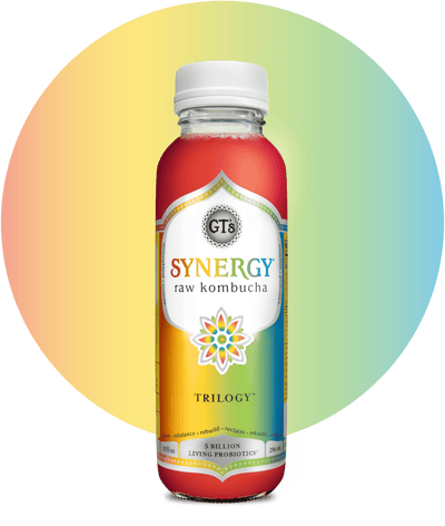 SYNERGY Raw Kombucha | GT's Living Foods