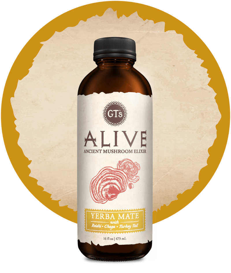 ALIVE Ancient Mushroom Elixir | Adaptogenic Teas | GT's Living Foods